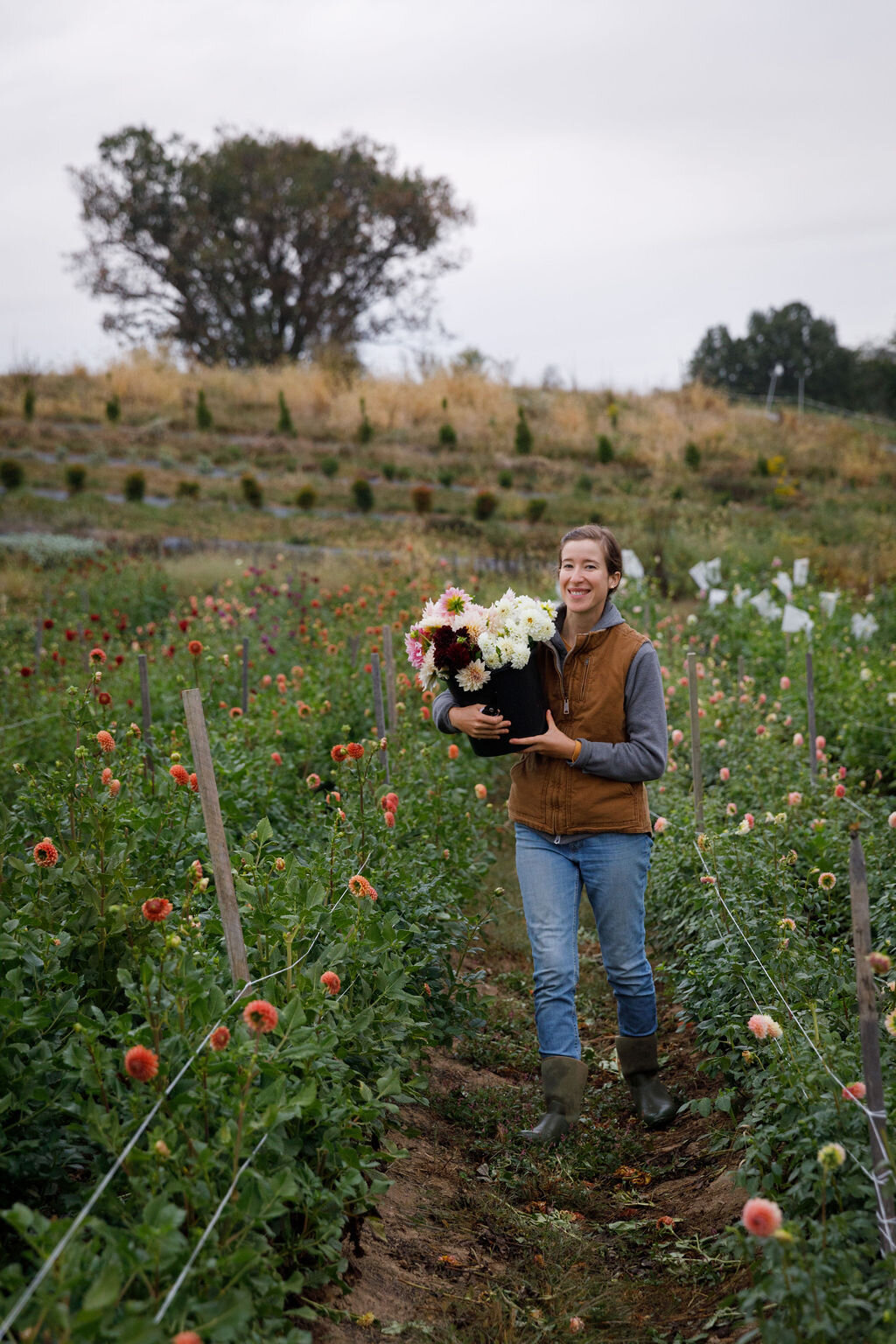 Butterbee Farm