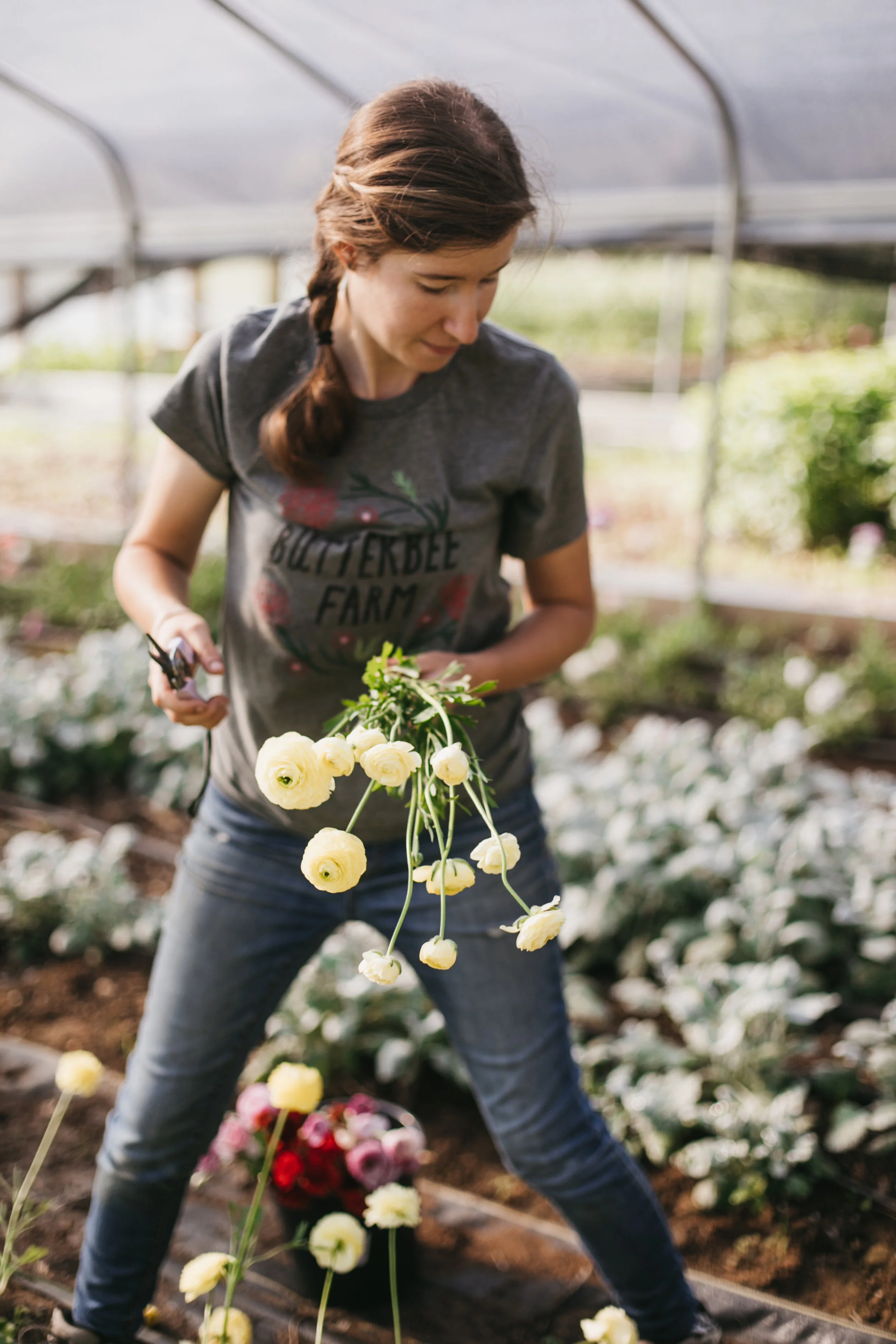 Butterbee Farm-Growing in High Tunnels