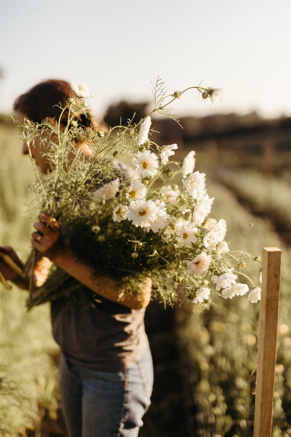 Butterbee Farm