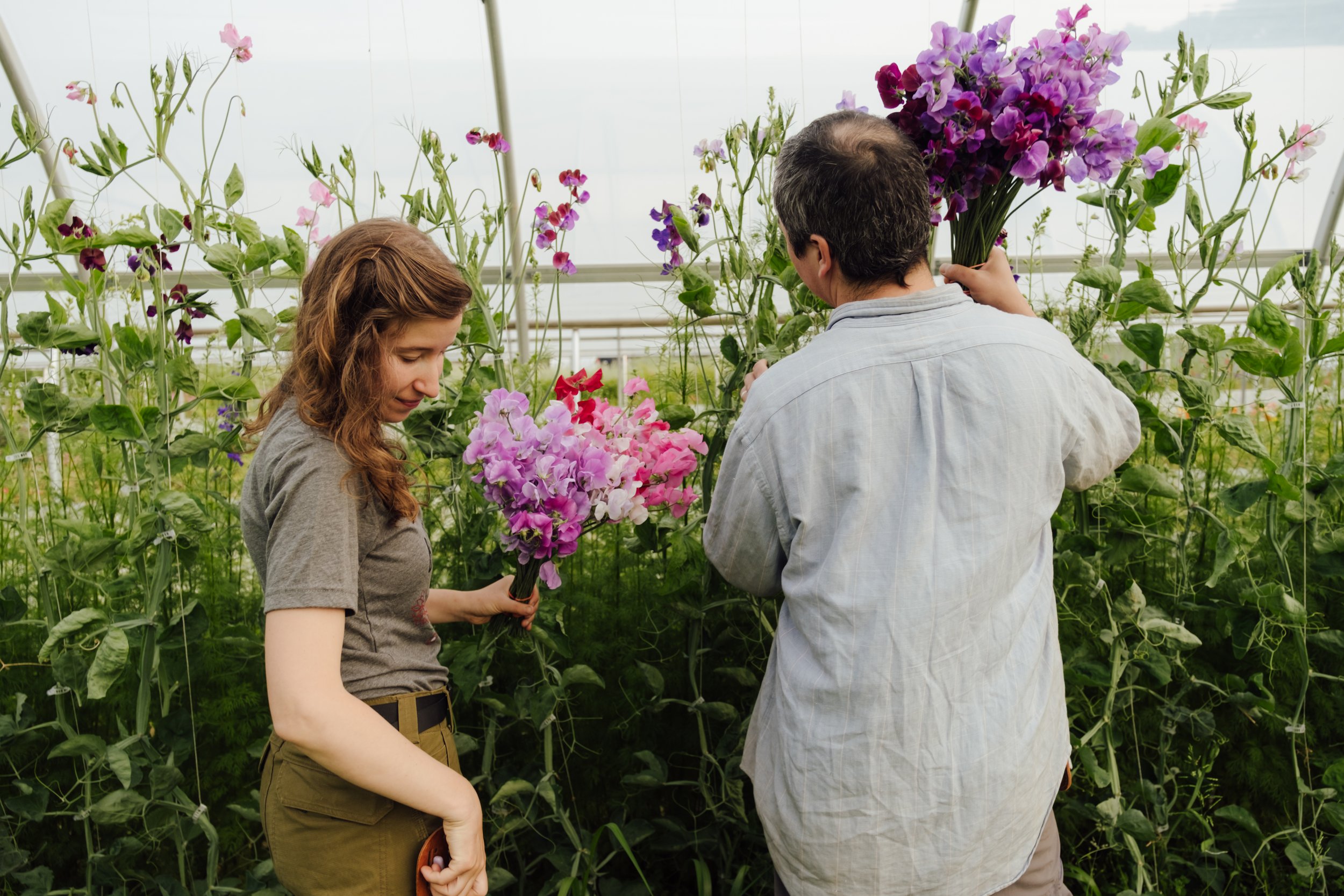 Butterbee Farm