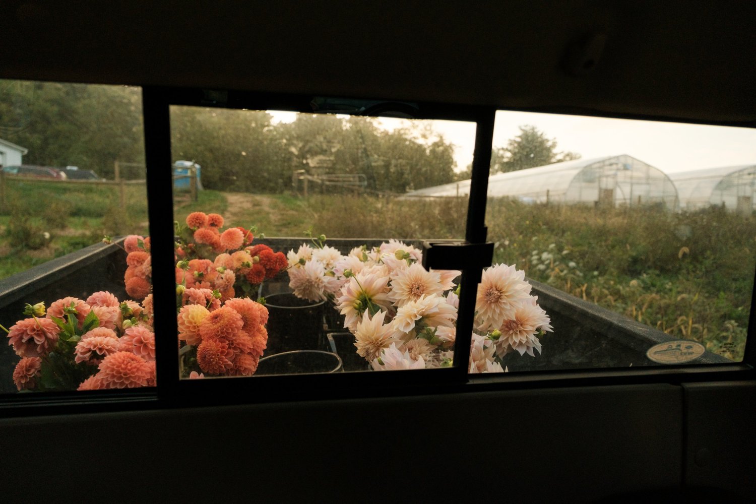 Butterbee Farm