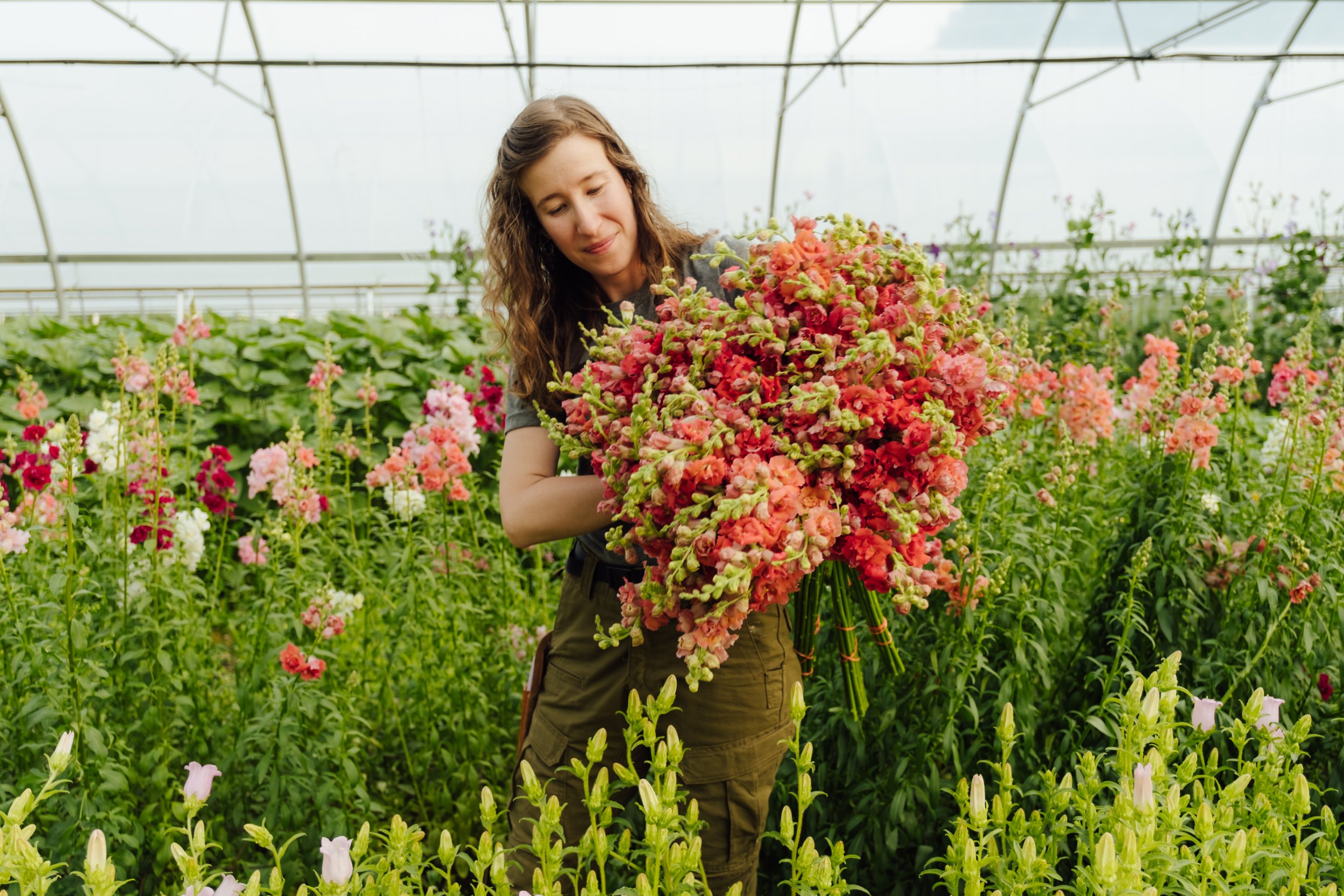 Butterbee Farm