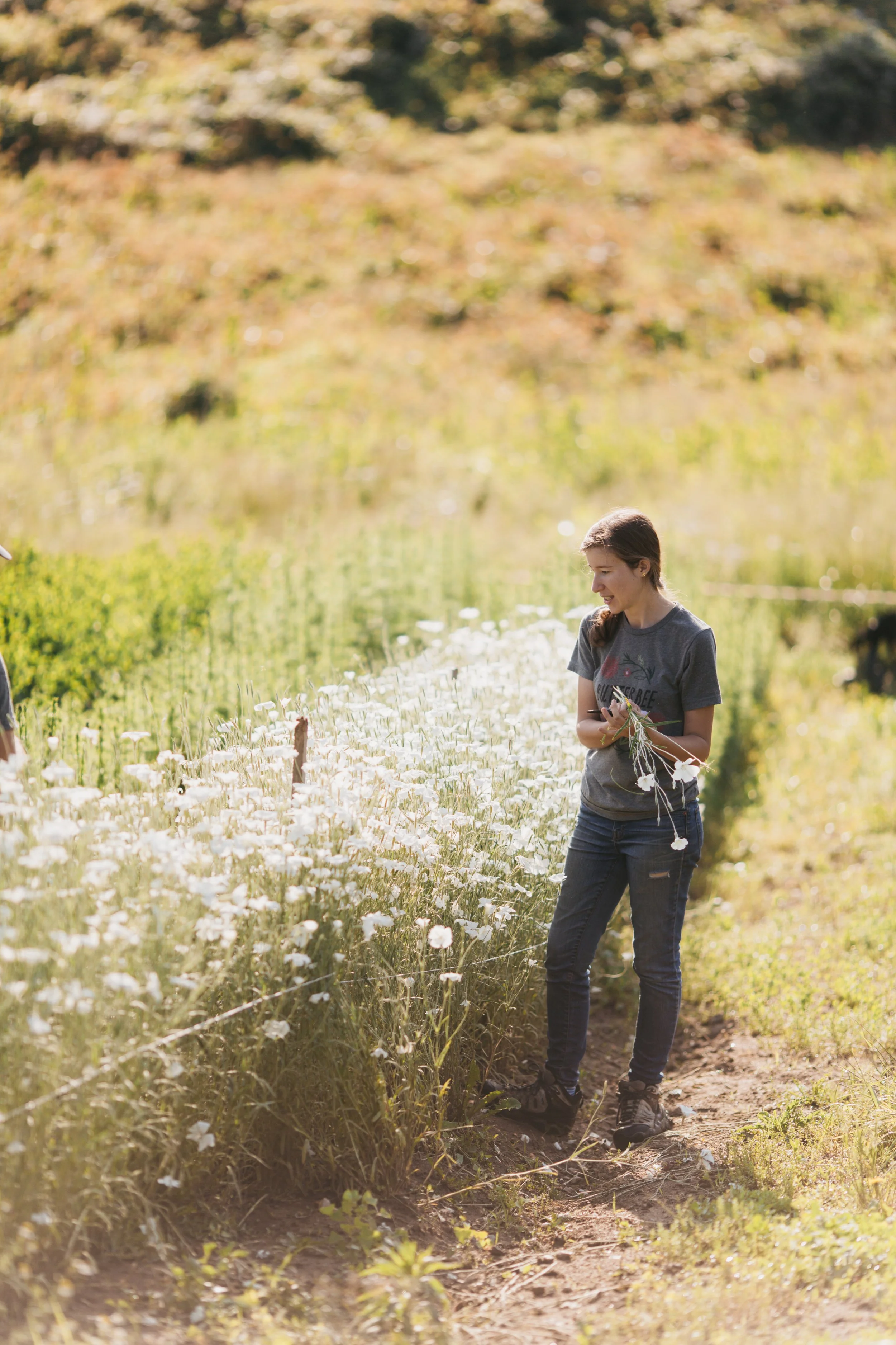 Butterbee Farm-Field Work