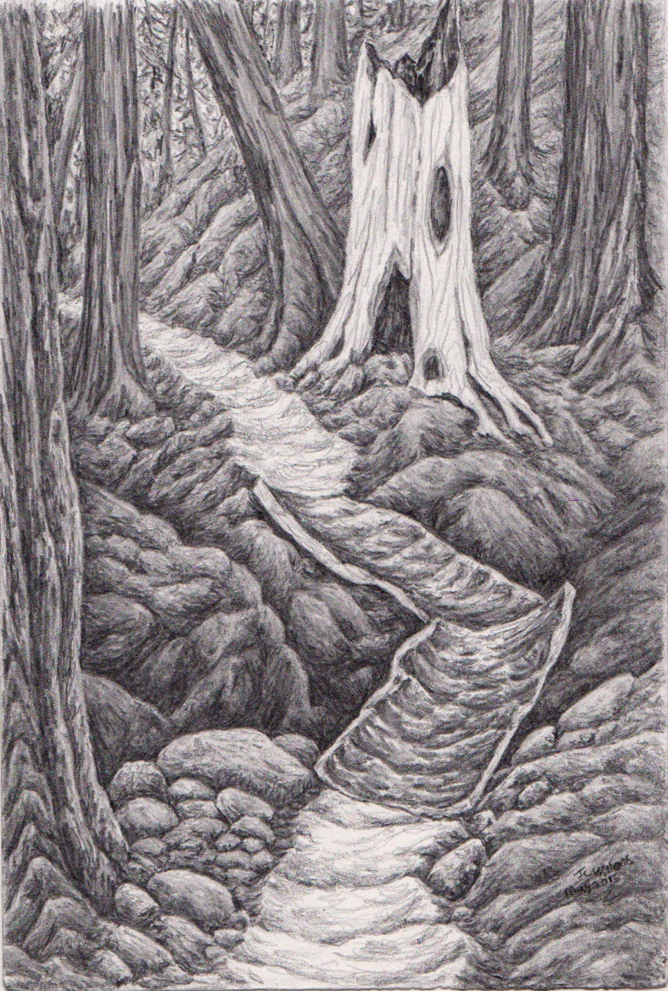 Jungle Drawing In Pencil