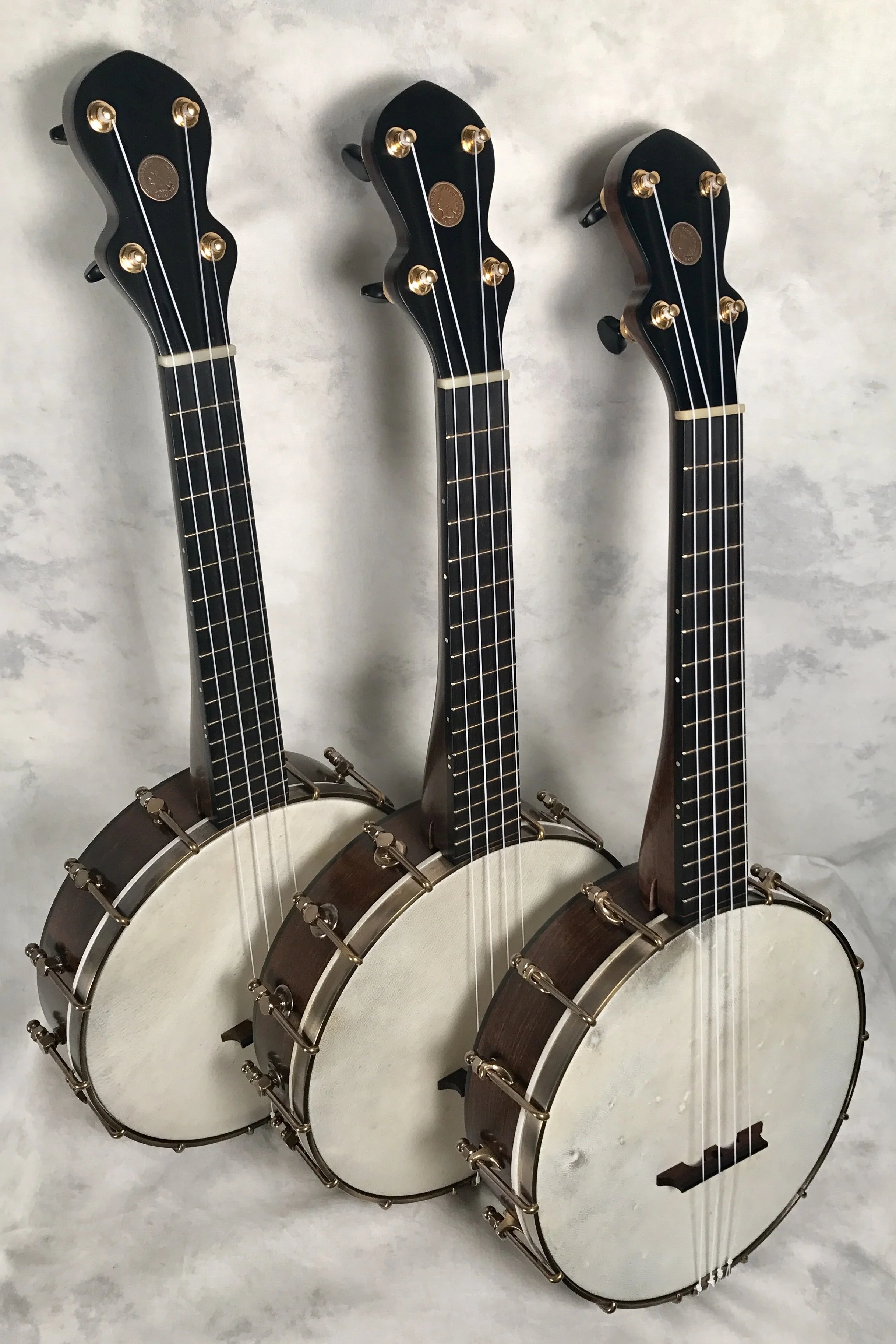 Banjo #338 - Banjo Gallery - Brooks Banjos