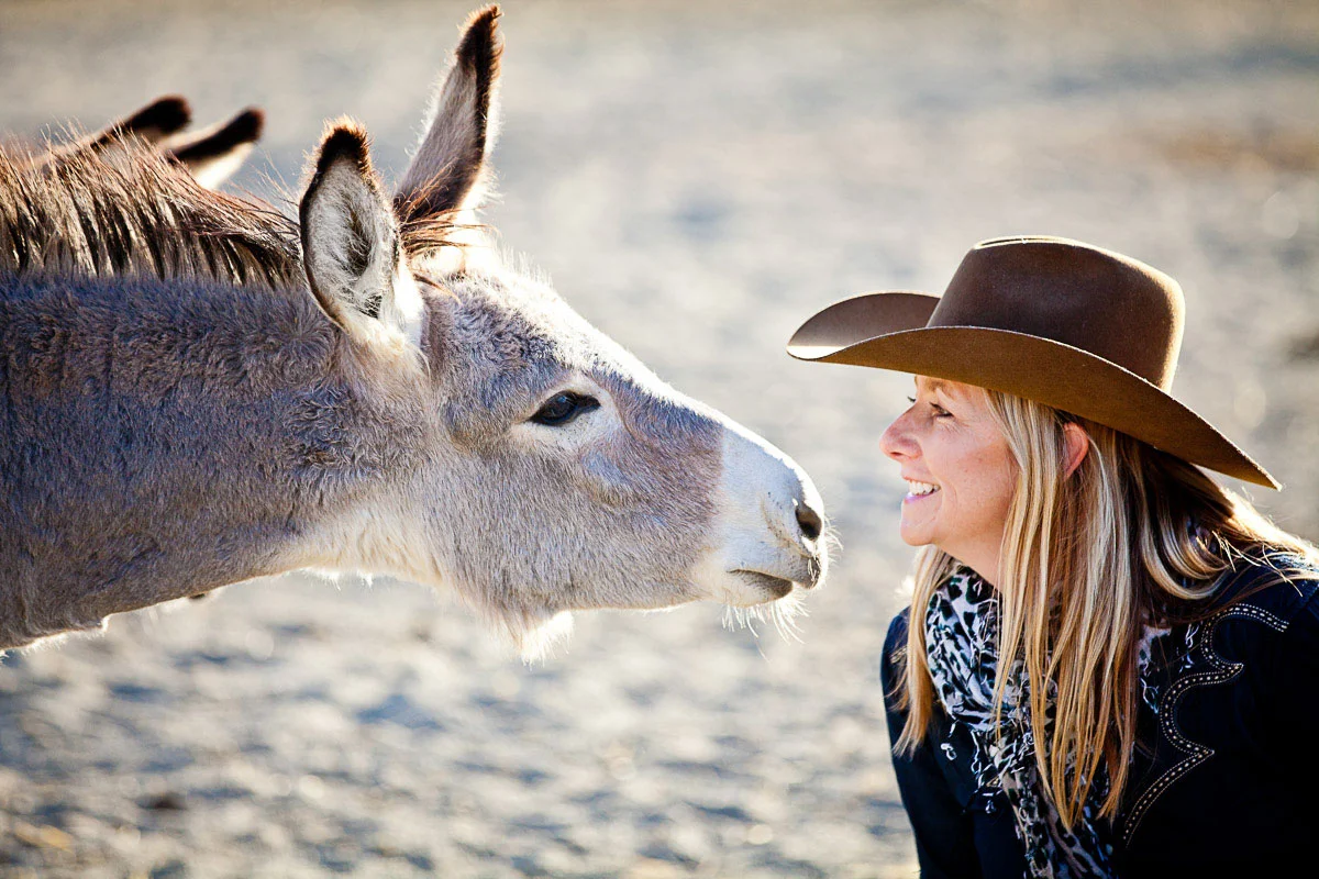 The MCR Burros — Montgomery Creek Ranch - A Wild Horse Sanctuary