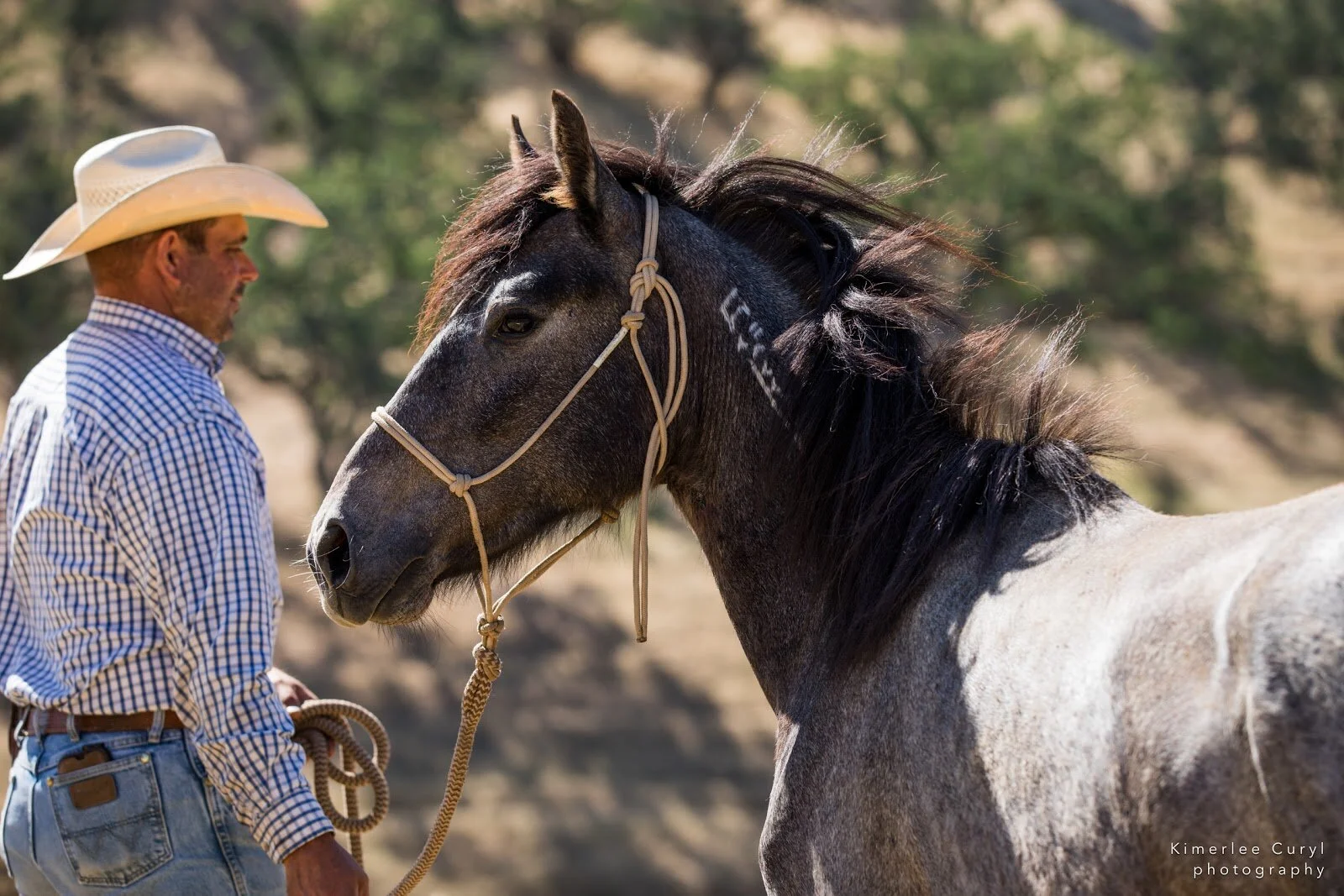 We’re Stronger Together: Working Collaboratively — Montgomery Creek ...