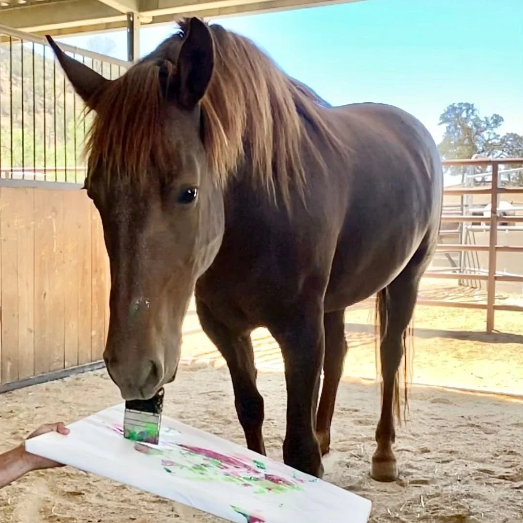 Purchase Mustang Art — Montgomery Creek Ranch - A Wild Horse Sanctuary