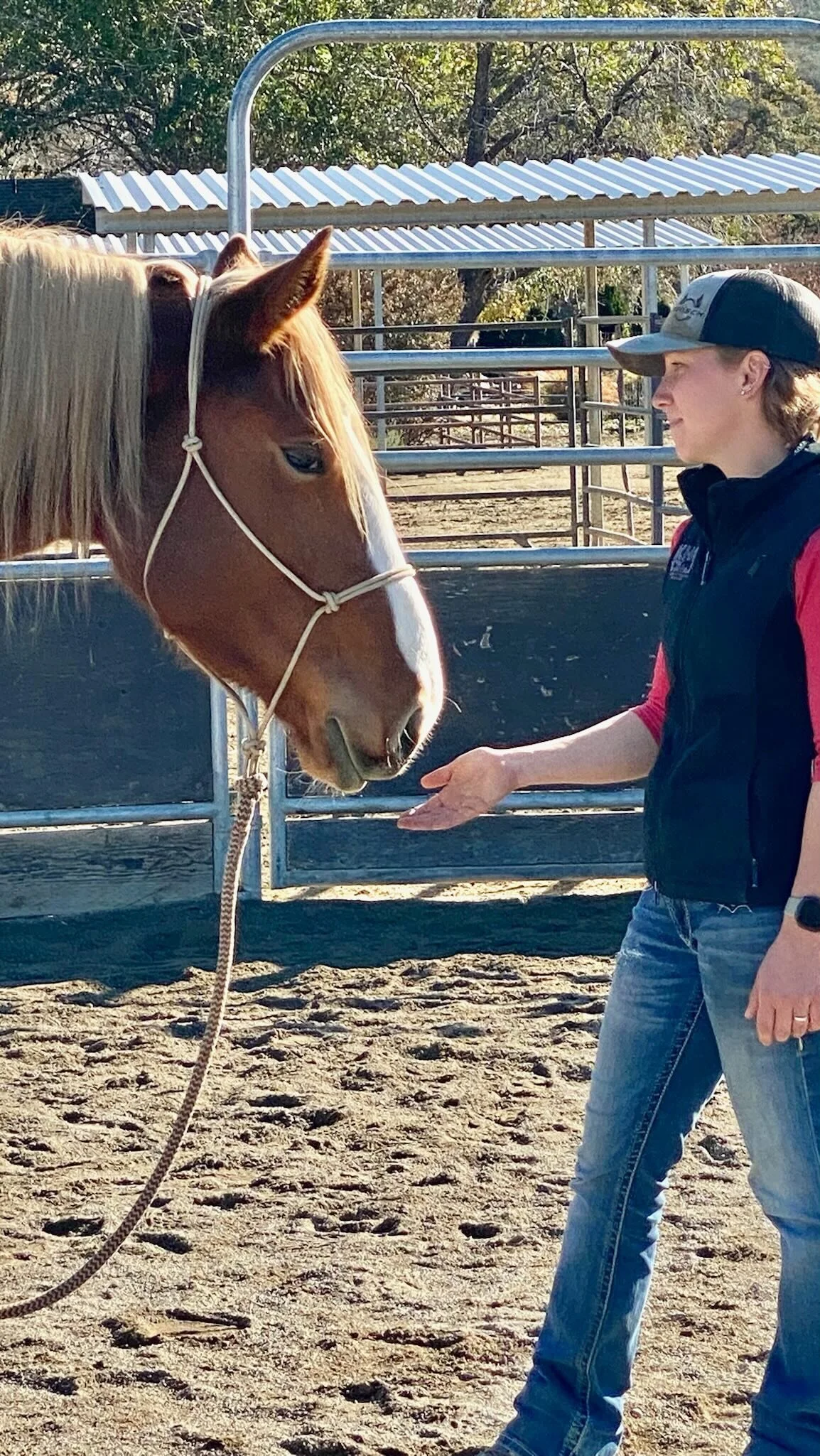 Montgomery Creek Ranch - A Wild Horse Sanctuary