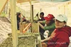 Disputanta Cob Building Workshop // Central KY Photography — Ariana ...