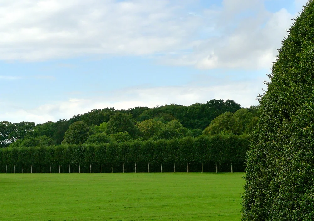 Pleached lime walkways at Houghton Hall — Bosworth Life