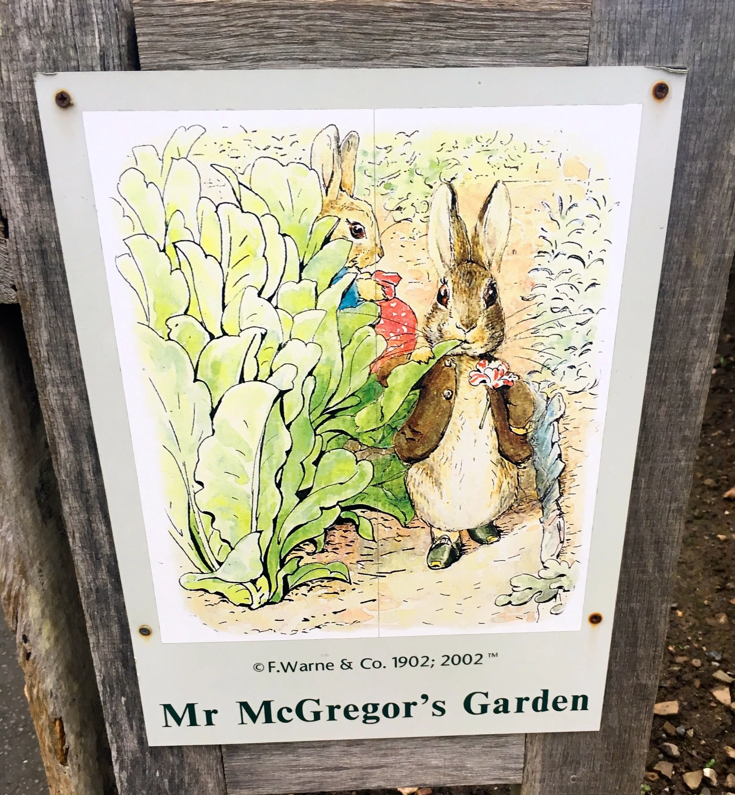 Mr McGregor's garden — Bosworth Life