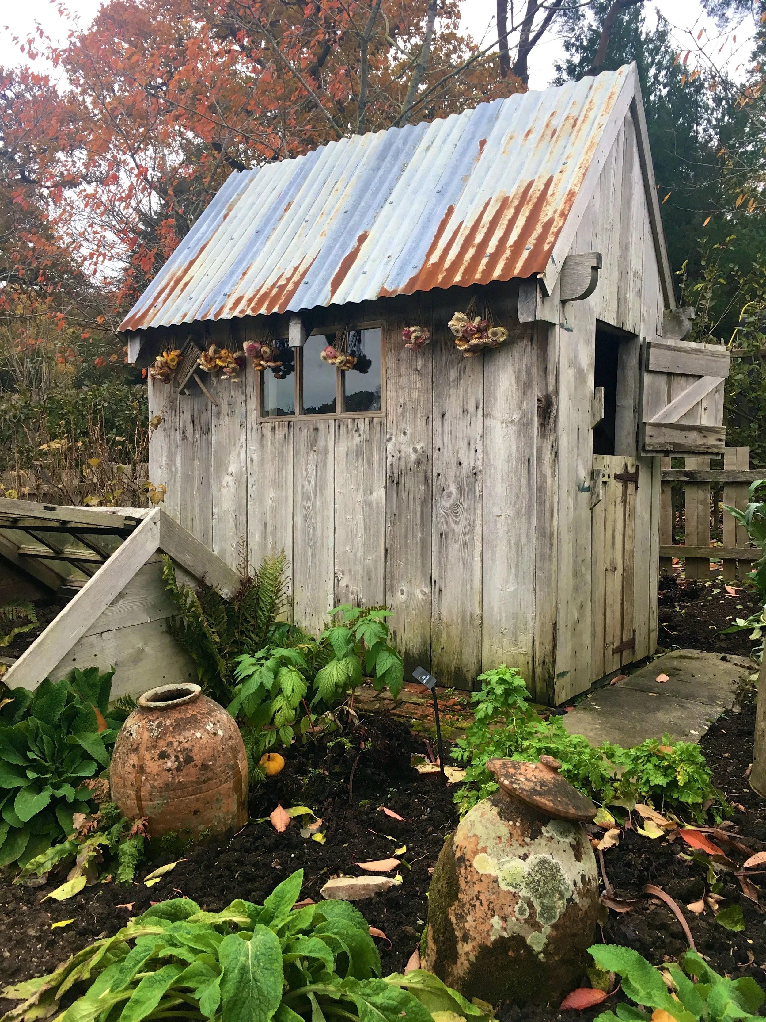 Mr McGregor's garden — Bosworth Life
