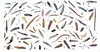 Feathers — Missy H. Dunaway