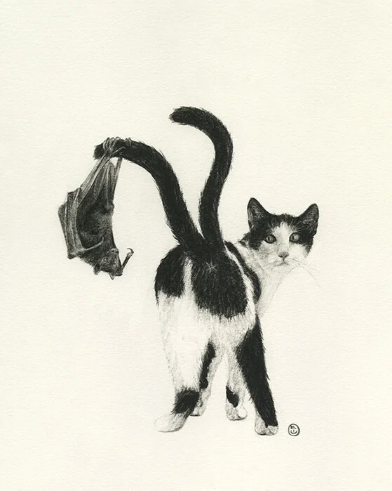 Shop — Stephanie Inagaki