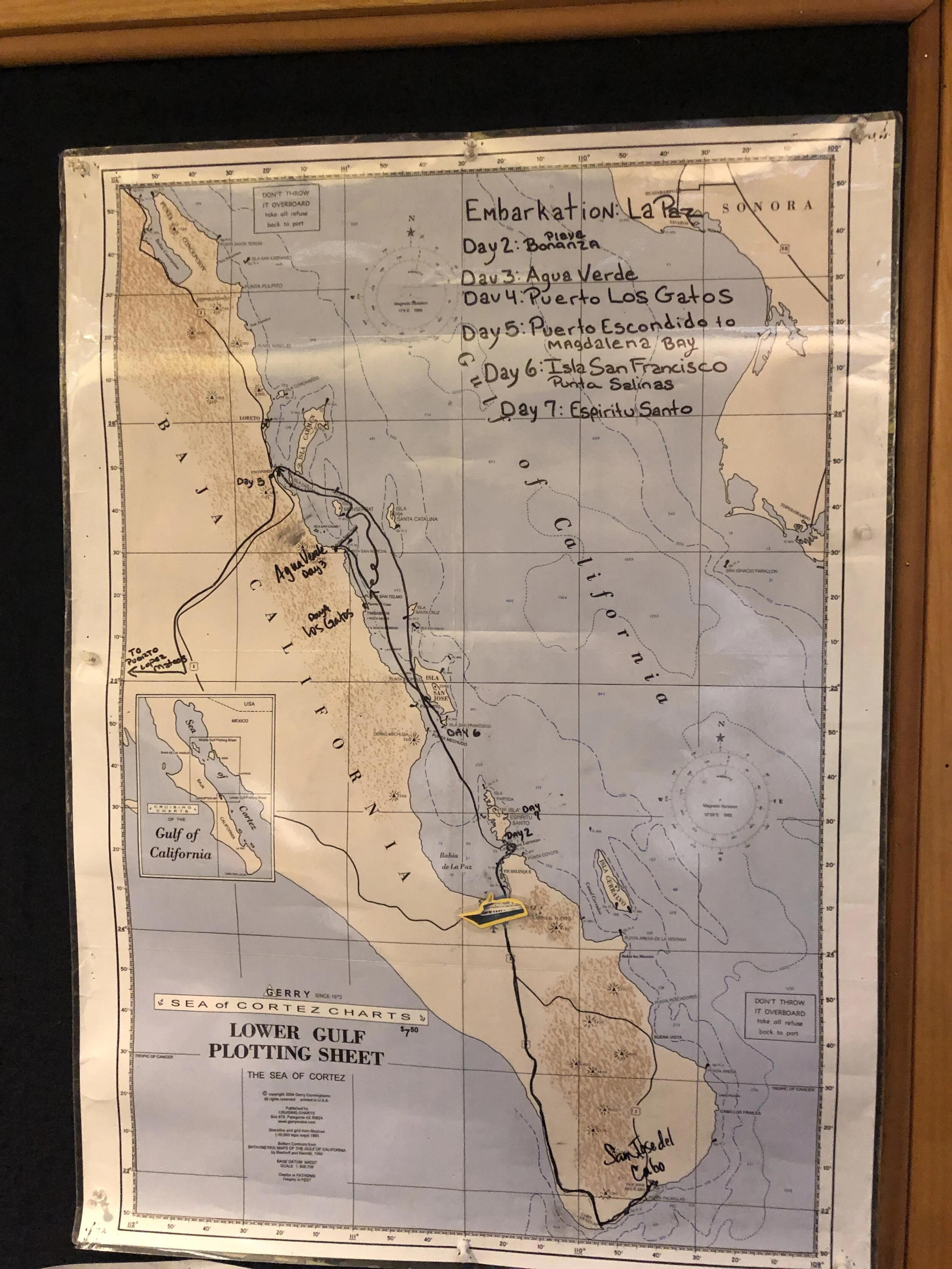 Sea of Cortez- Under the Sea — Go See It Travel