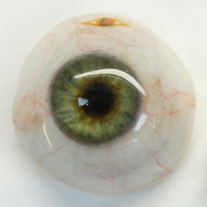 Prosthetic Professional Artist Sacramento California