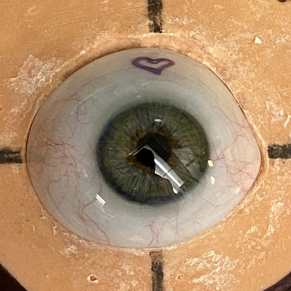 Prosthetic Artists Inc - Custom Facial & Ocular Prosthetics