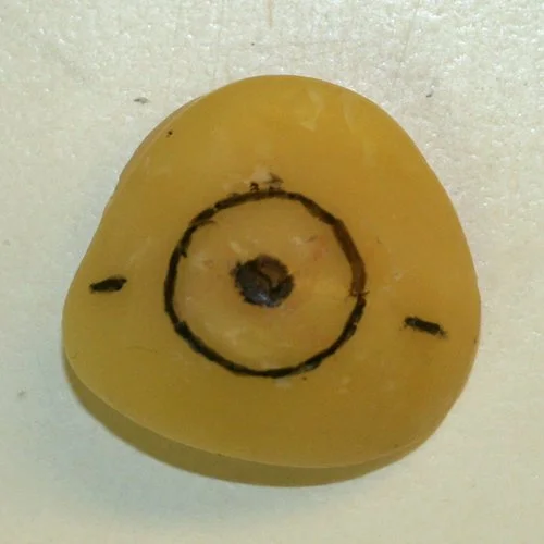 Prosthetic Professional Artist in California, Michigan & Hawaii