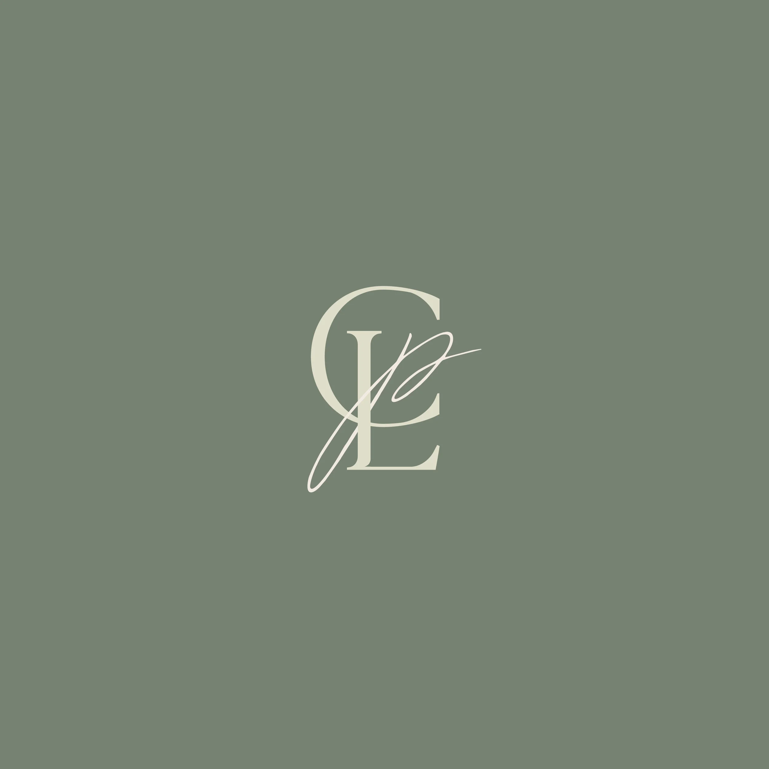 Demystifying Logo Variations + How to Use Them — Gillian Tracey Design ...