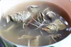 Chinese tamales that smell like boiled artichokes — Fobby Foody