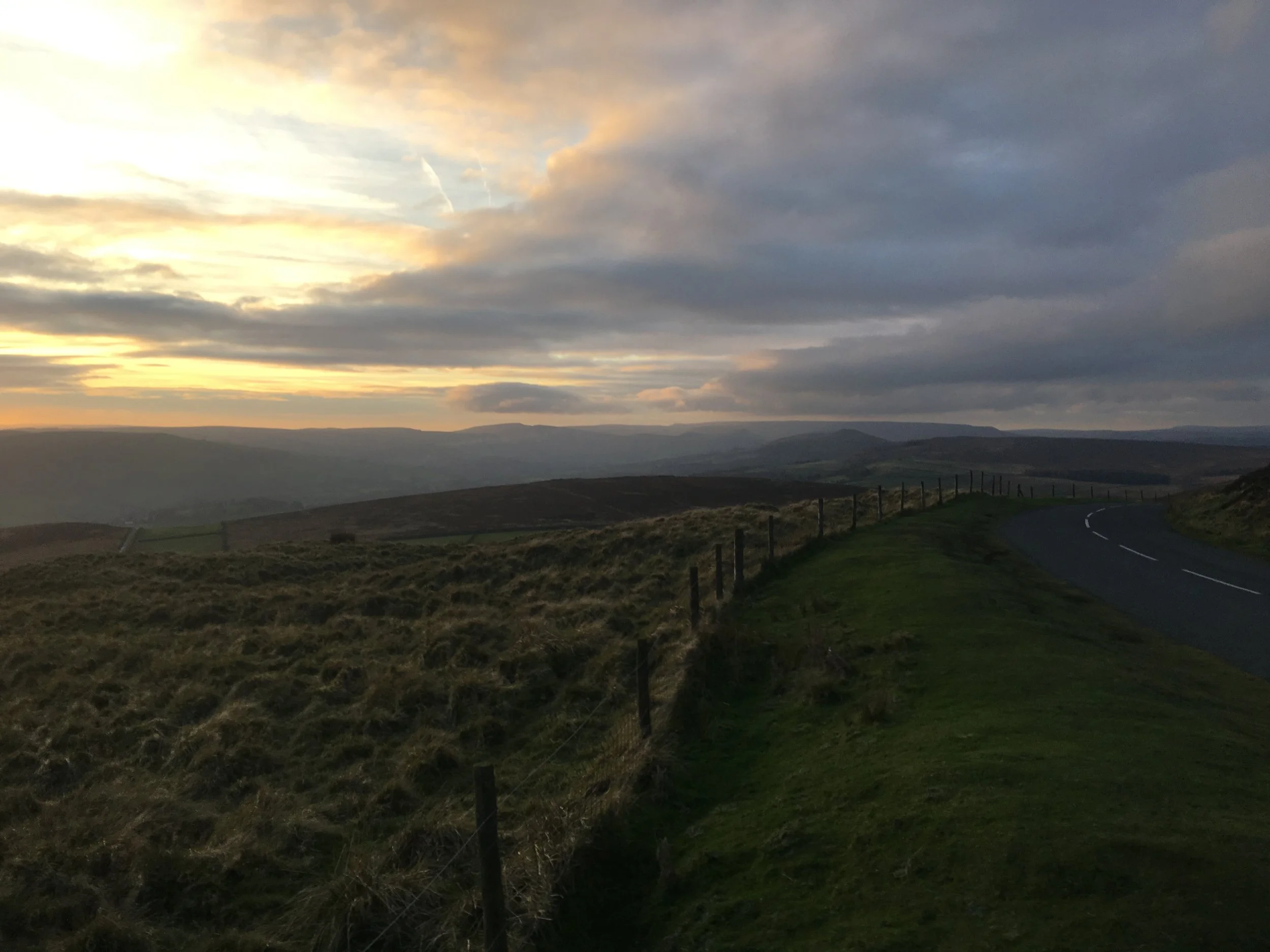 Growing, foraging and cooking adventures