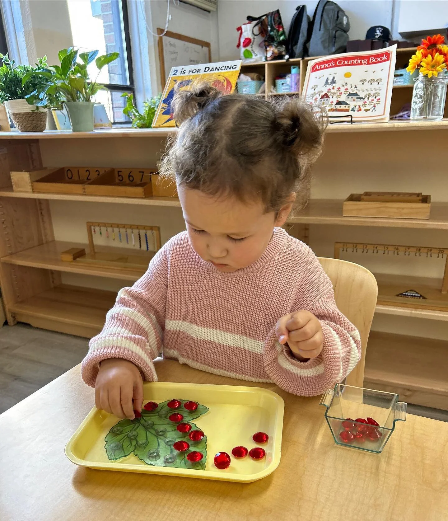 Morningside Montessori School