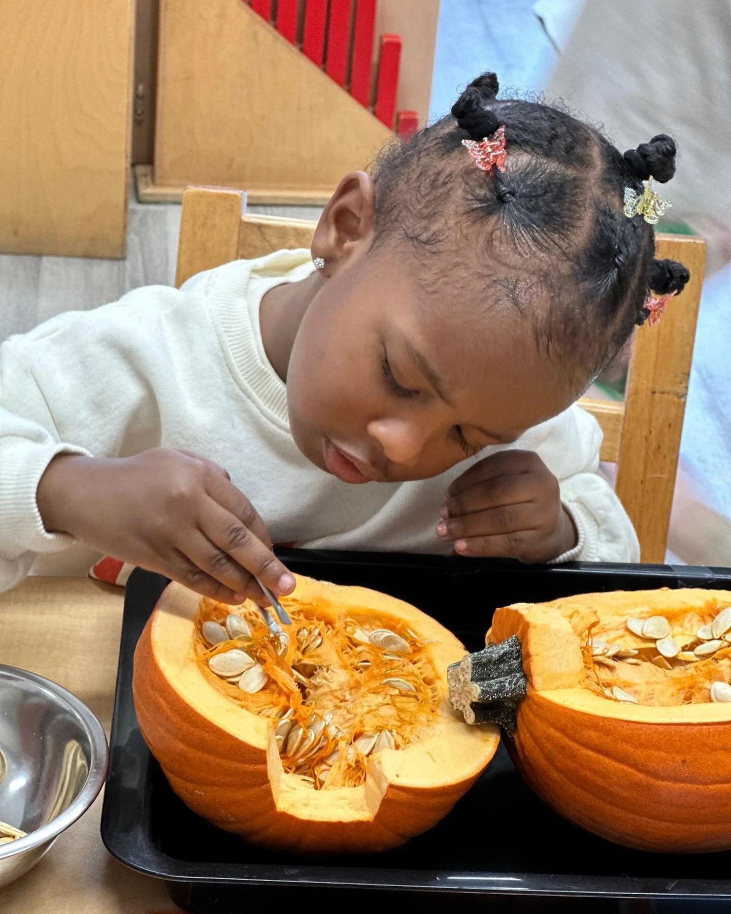 Morningside Montessori School