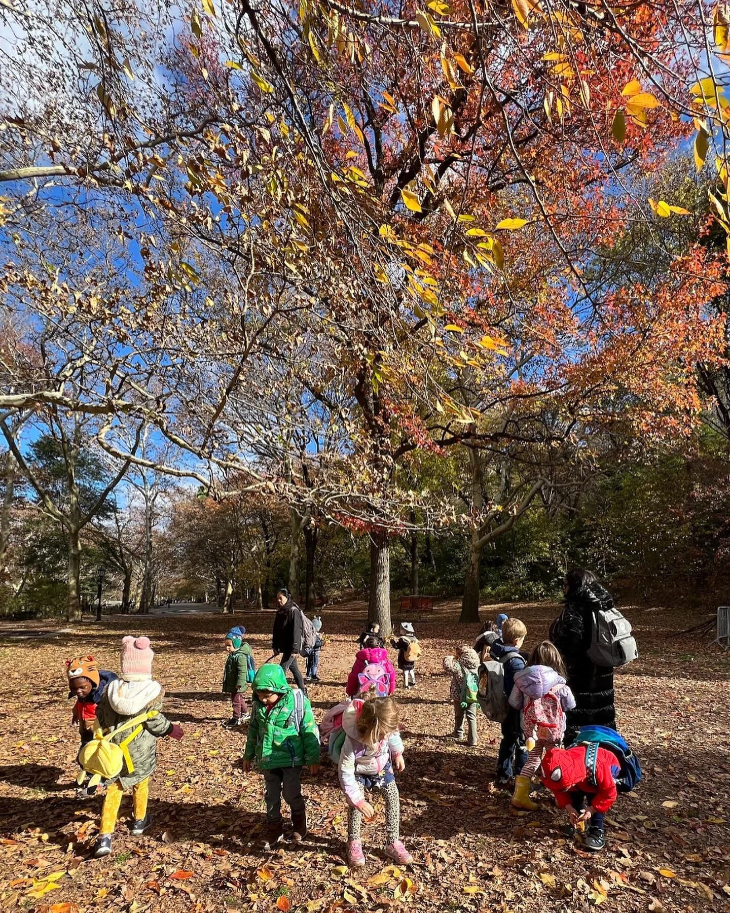 Morningside Montessori School