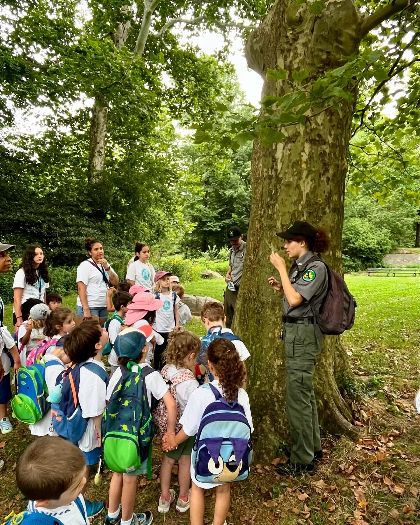 Morningside Montessori School