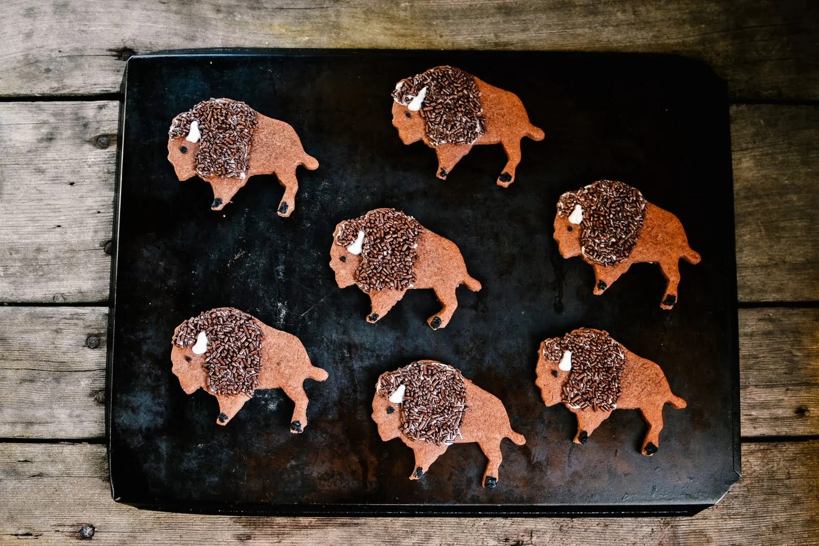 bison cookies (chocolate sugar cookies) — the farmer's daughter | let's ...