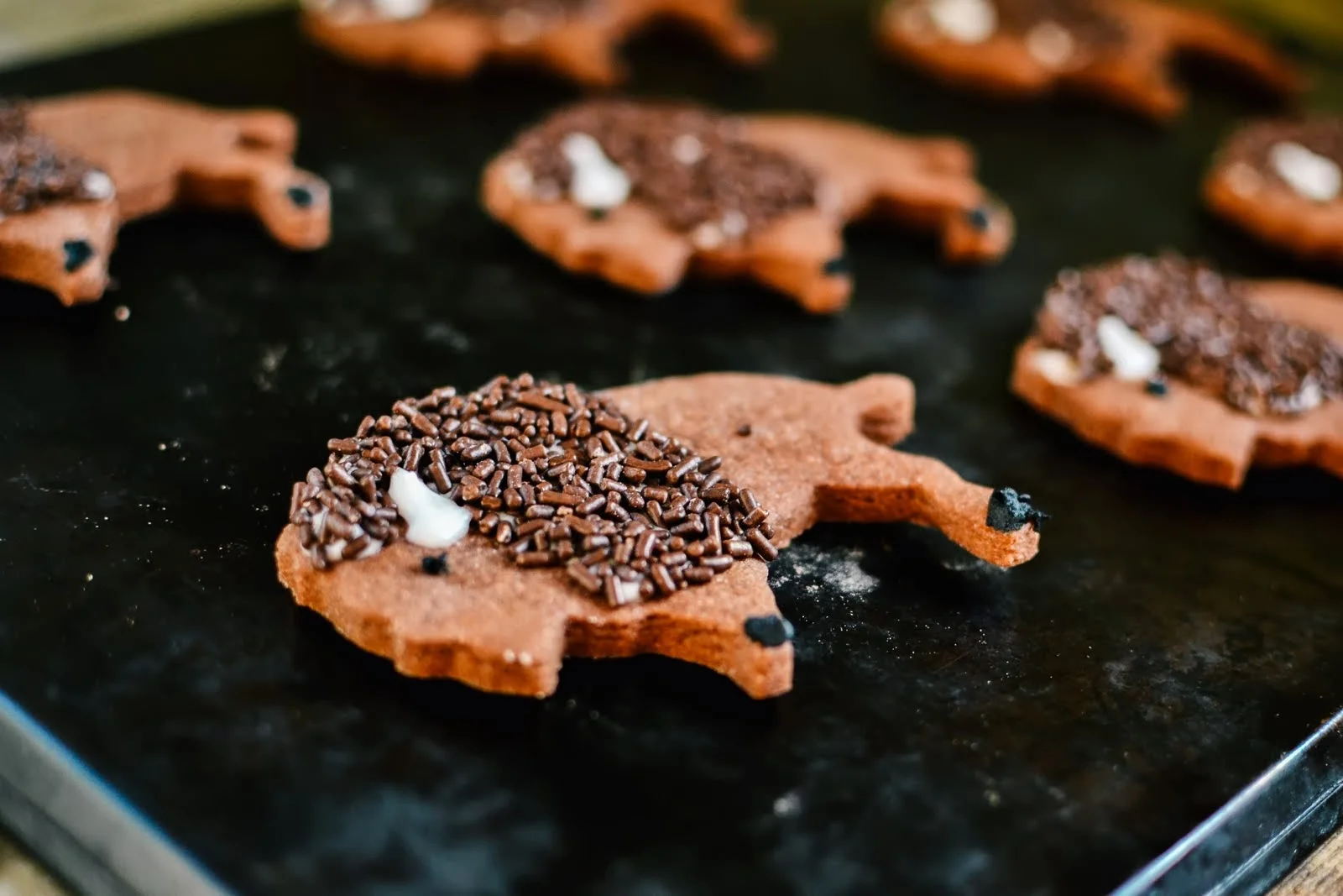 bison cookies (chocolate sugar cookies) — the farmer's daughter | let's ...