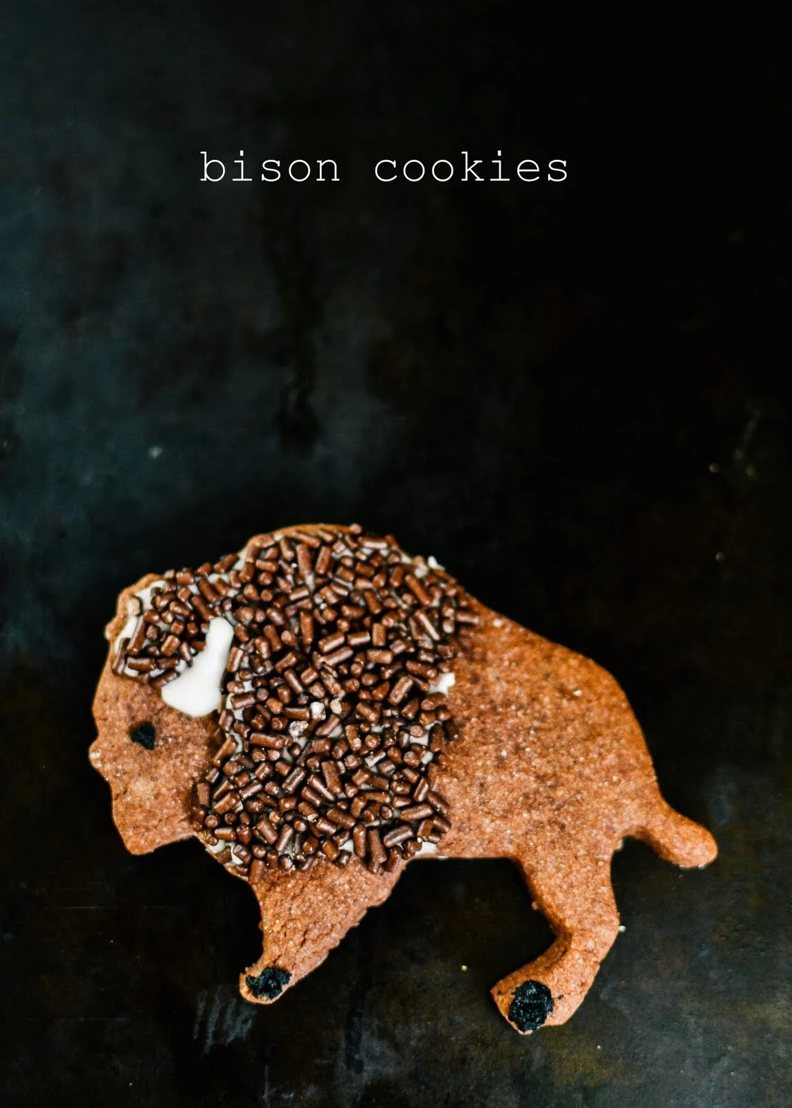 bison cookies (chocolate sugar cookies) — the farmer's daughter | let's ...
