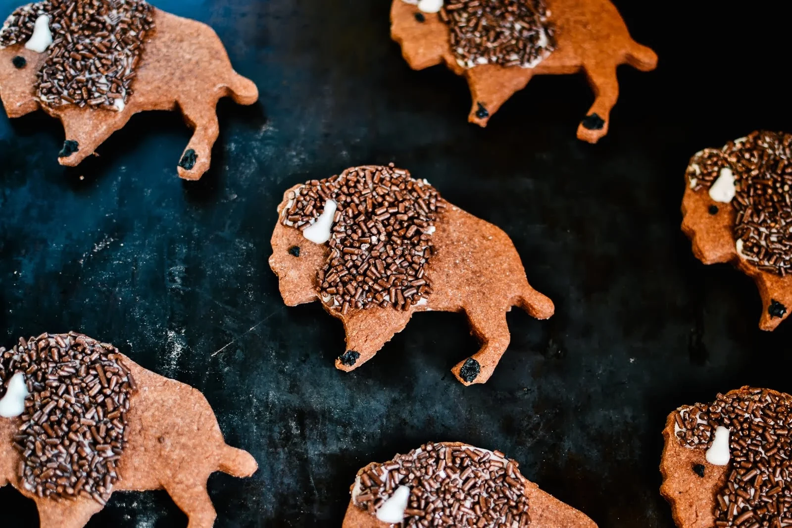 bison cookies (chocolate sugar cookies) — the farmer's daughter | let's ...