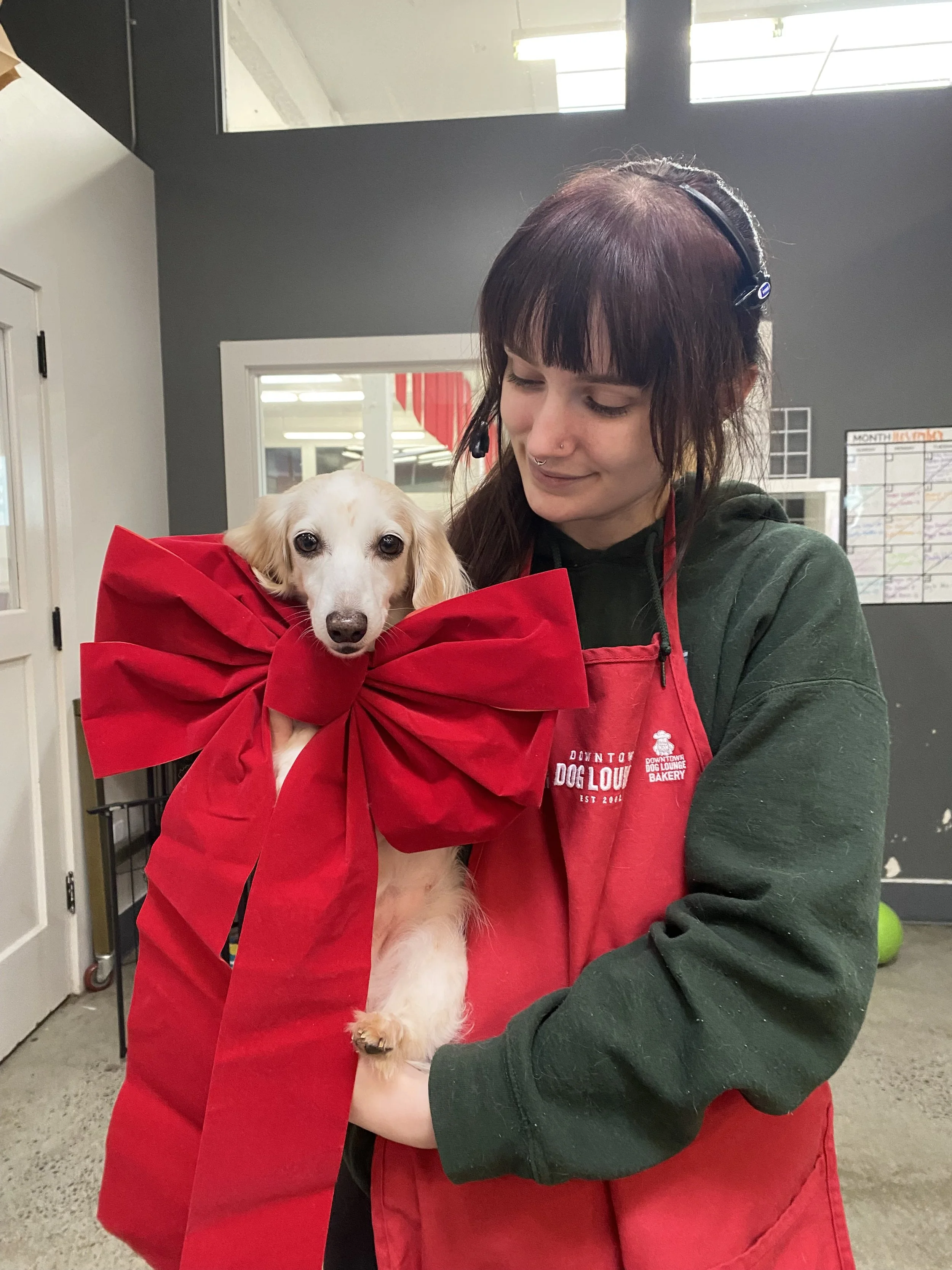 Member Stories — UFCW 3000