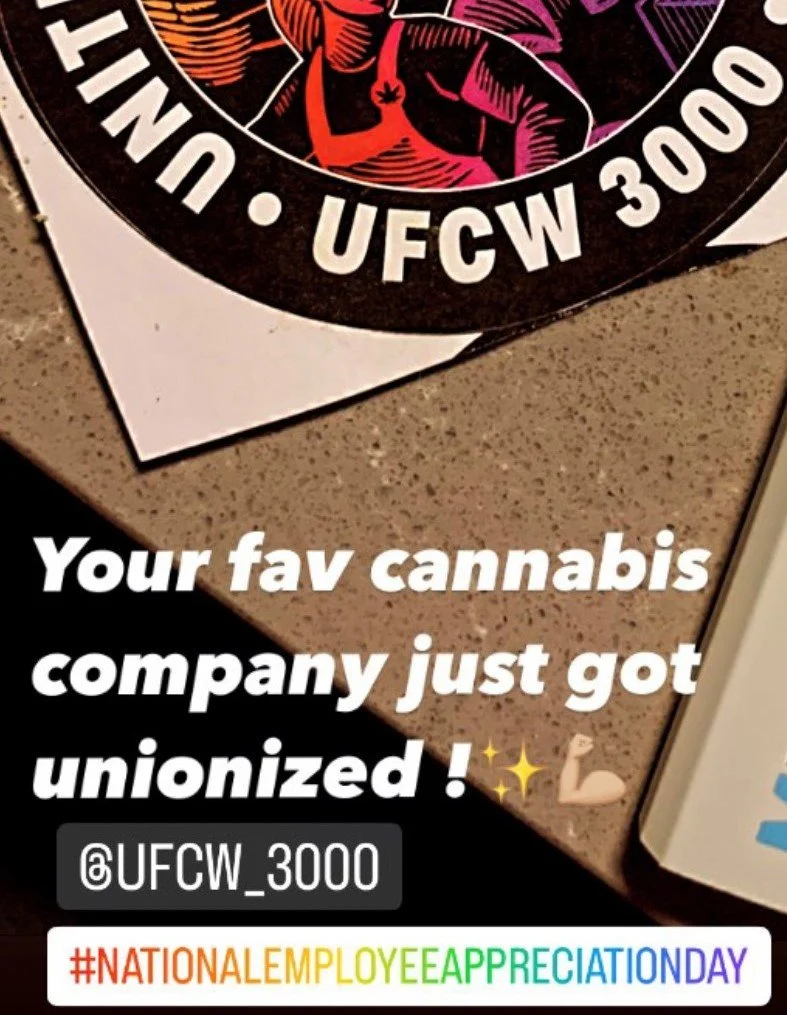 Welcome to Our Union: Mfused Workers Won Their Union Election! — UFCW 3000