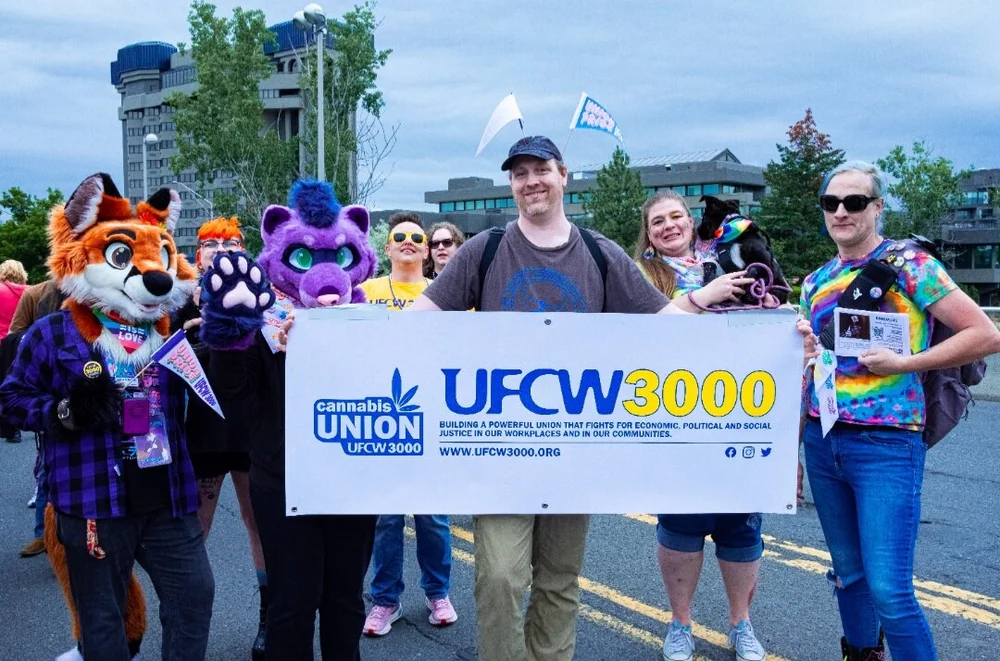 UFCW 3000 Cannabis — UFCW 3000
