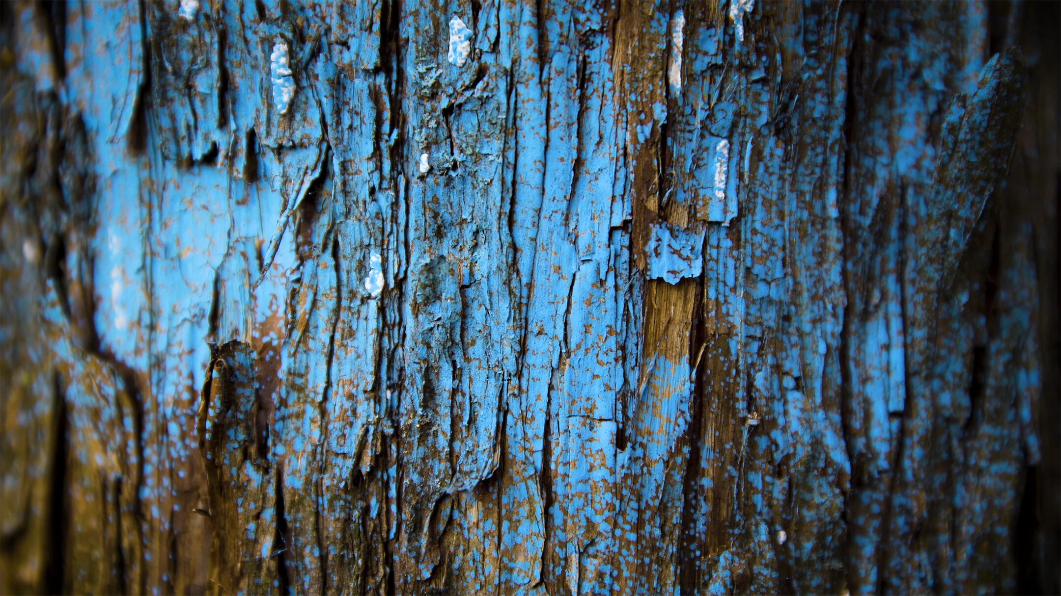 WORKS — Cyan Meeks