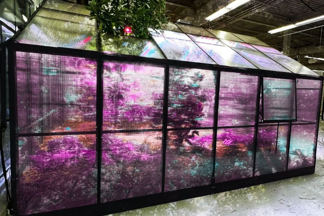 Experience "Sacred Breaths": An Immersive Journey Connecting Art ...