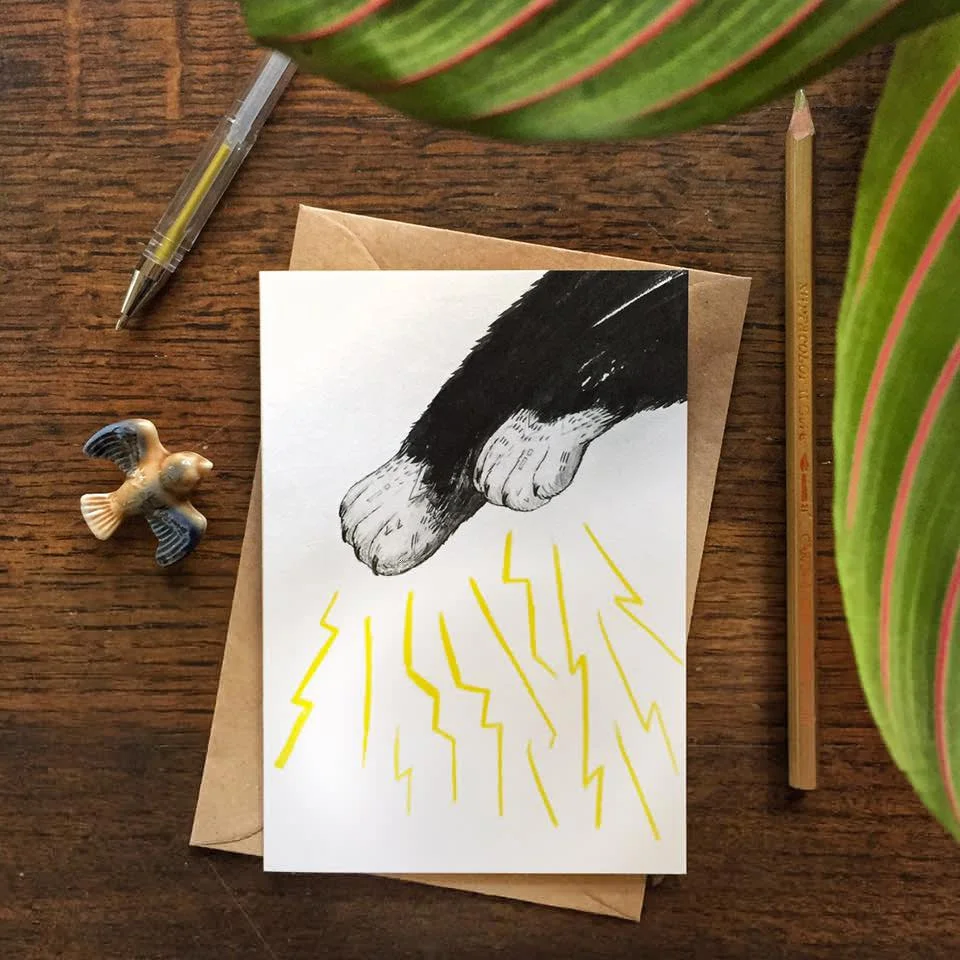 Sandra Dieckmann - Illustrator