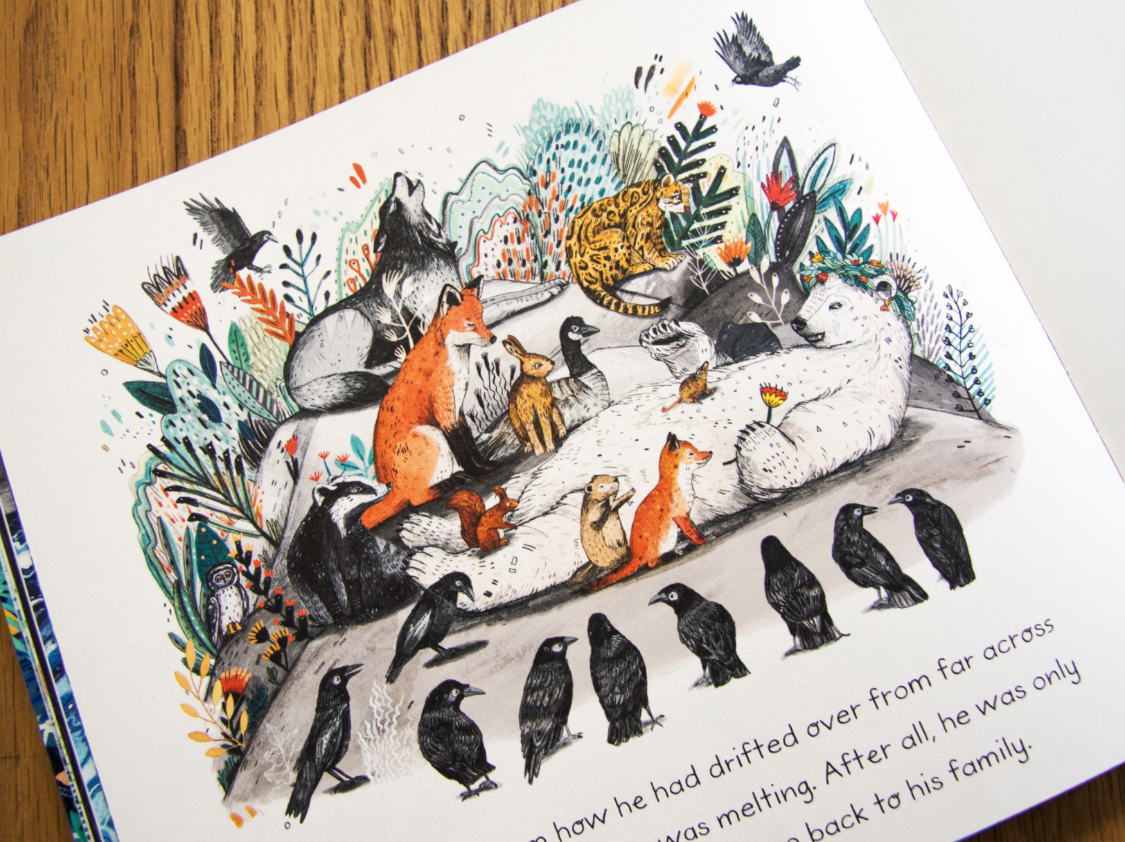 Sandra Dieckmann - Illustrator
