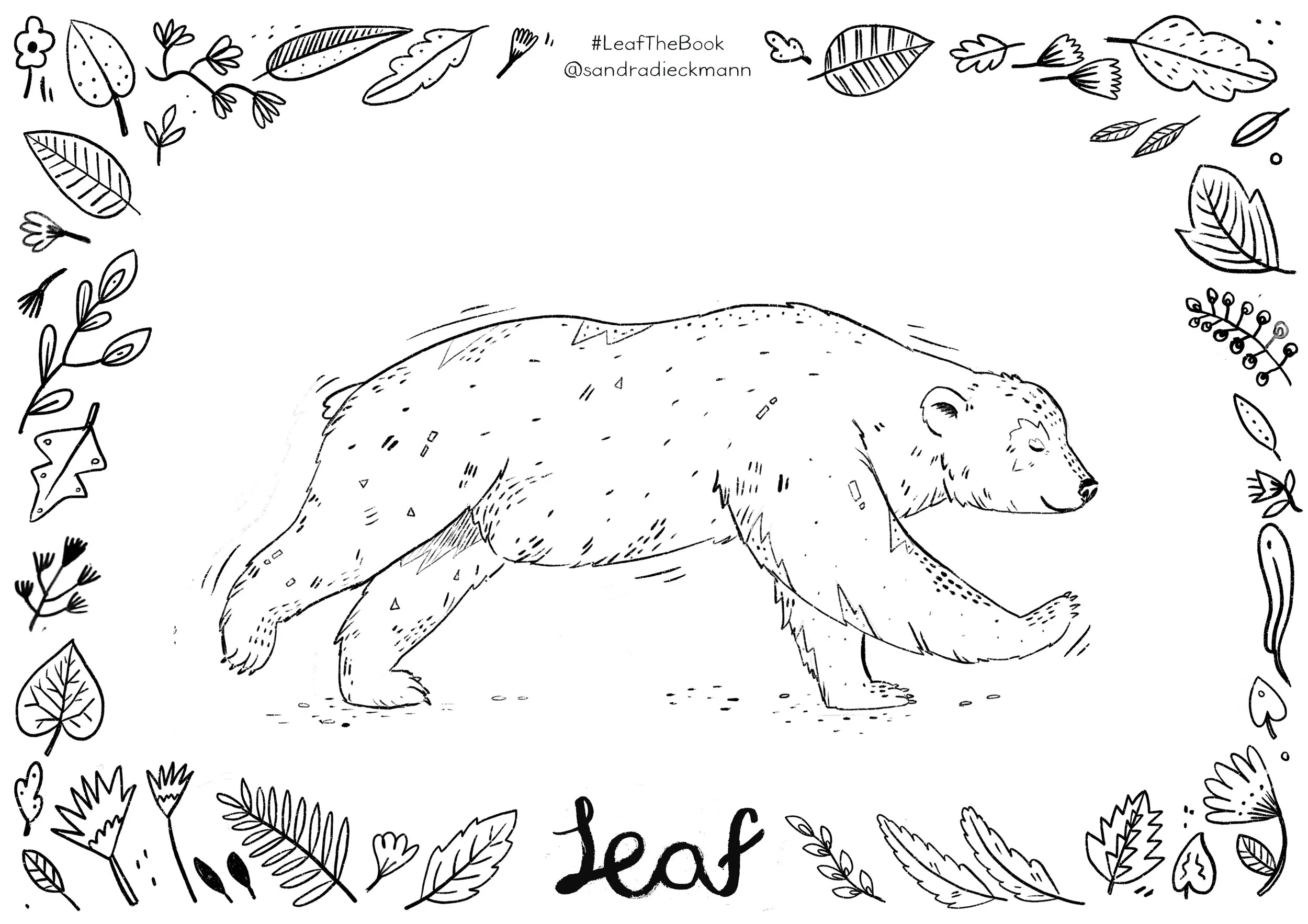 Sandra Dieckmann - Illustrator