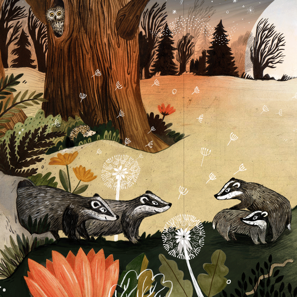 Sandra Dieckmann - Illustrator