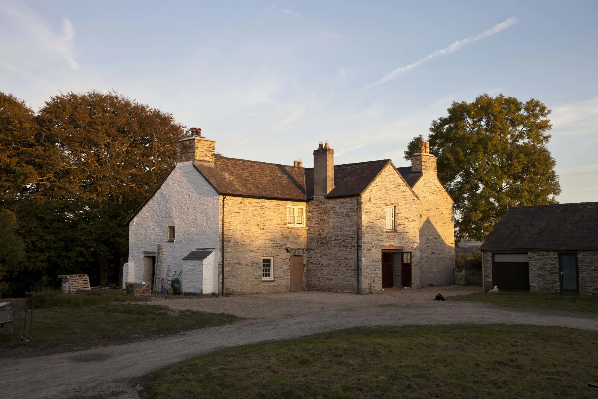 fforest - New Gallery