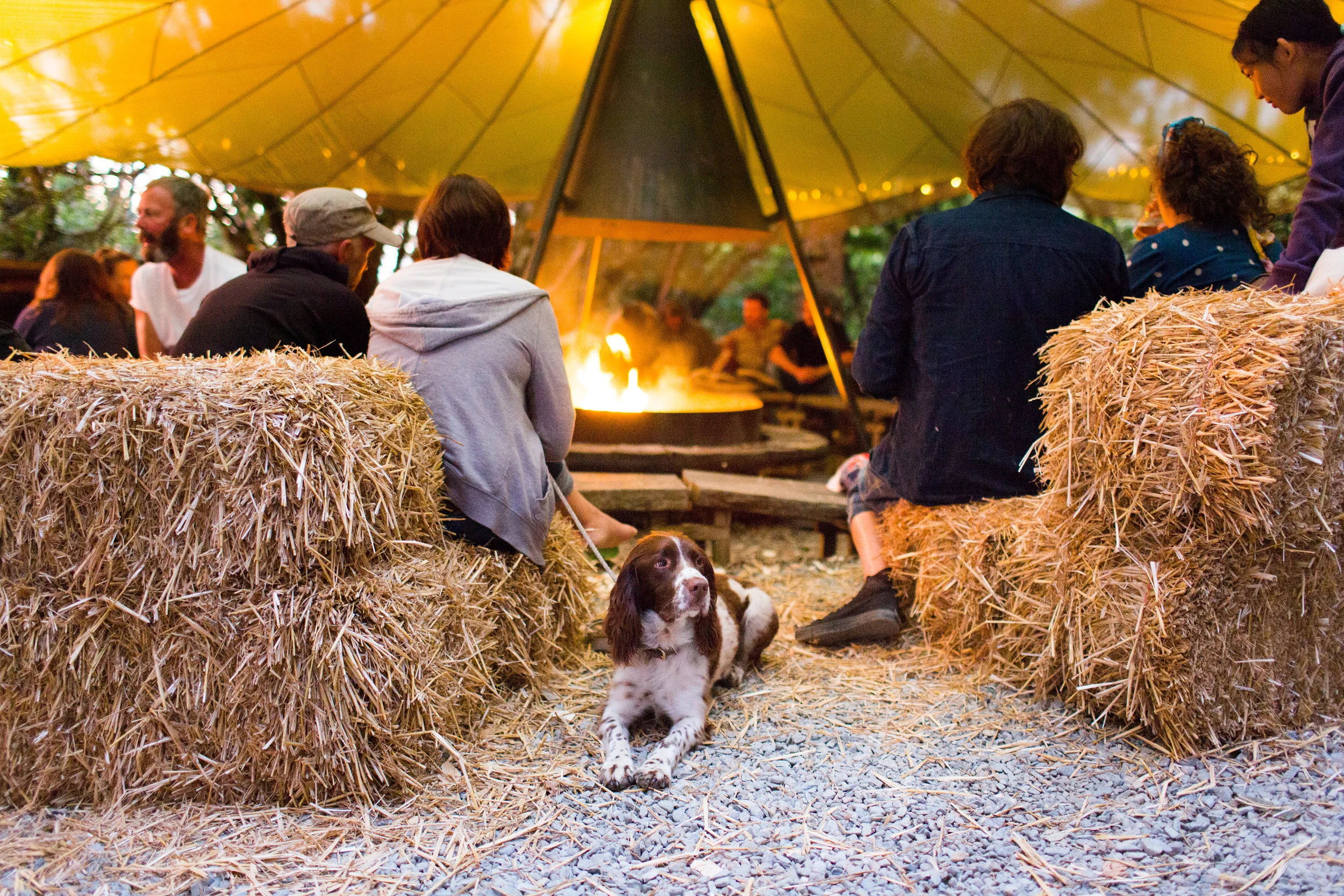 fforest - Hygge at fforest