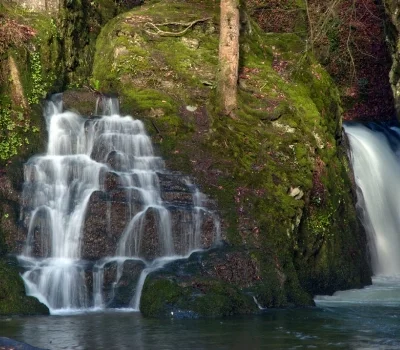 fforest - Hidden gems of wild west Wales