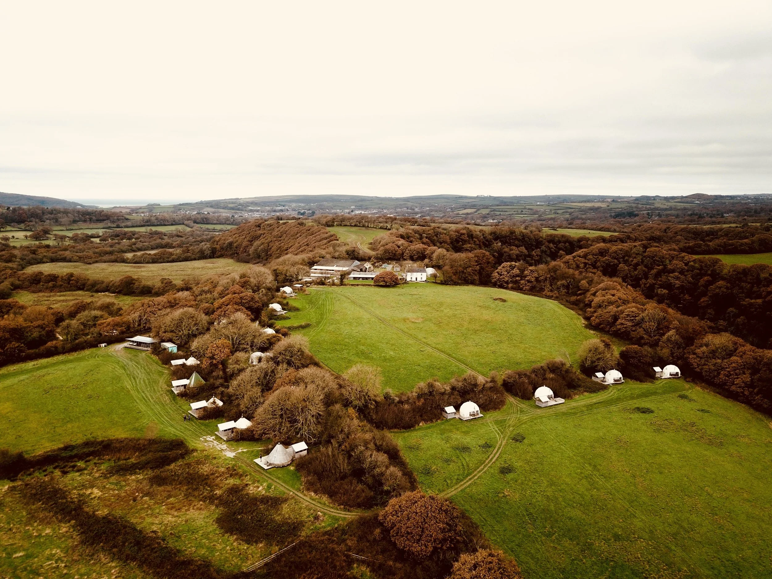 fforest - The fforest Rustle