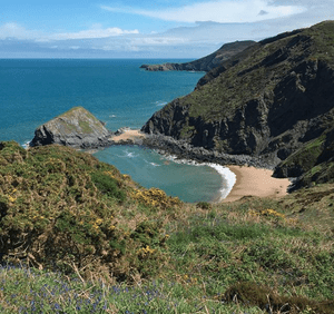 fforest - Walk of the month: 'Traeth Bach', a short distance from Manorafon