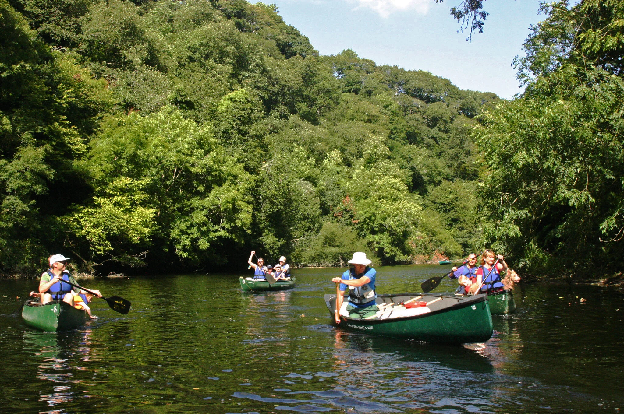 fforest - Special events