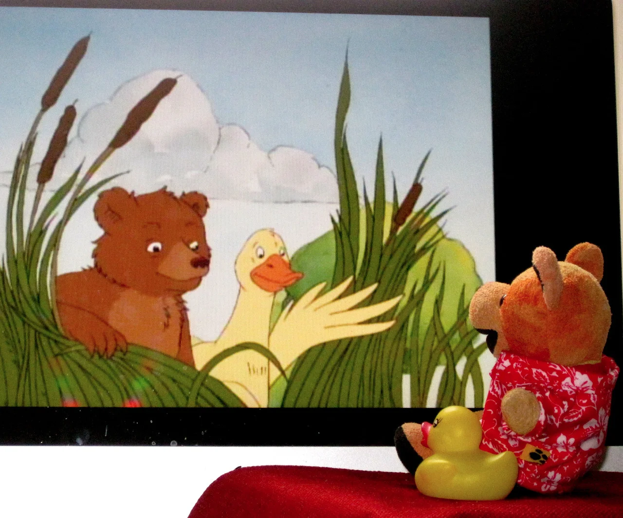 Five Fun Picture Book Trivia Questions & Answers - By Linda Eve Diamond ...